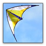 Freestyle kites - 2 lines - Kite Plan Base (KPB)